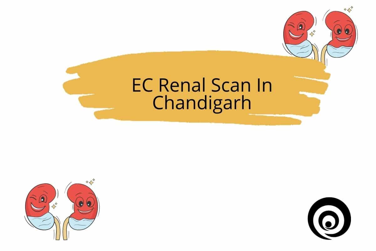 EC Renal Scan In Chandigarh - MRI Chandigarh +918699572364